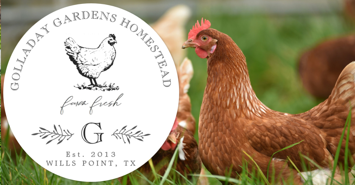 Home - Golladay Gardens Homestead